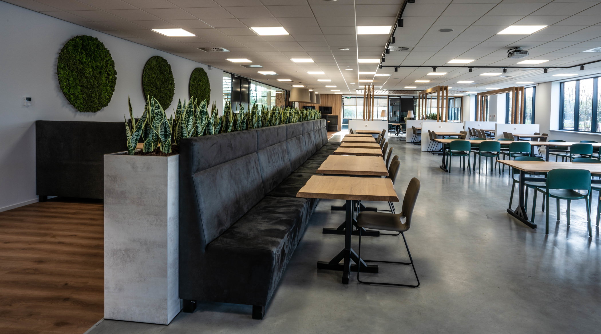 Meet RAVAS Mobile Weighing. Learn more about us! | RAVAS